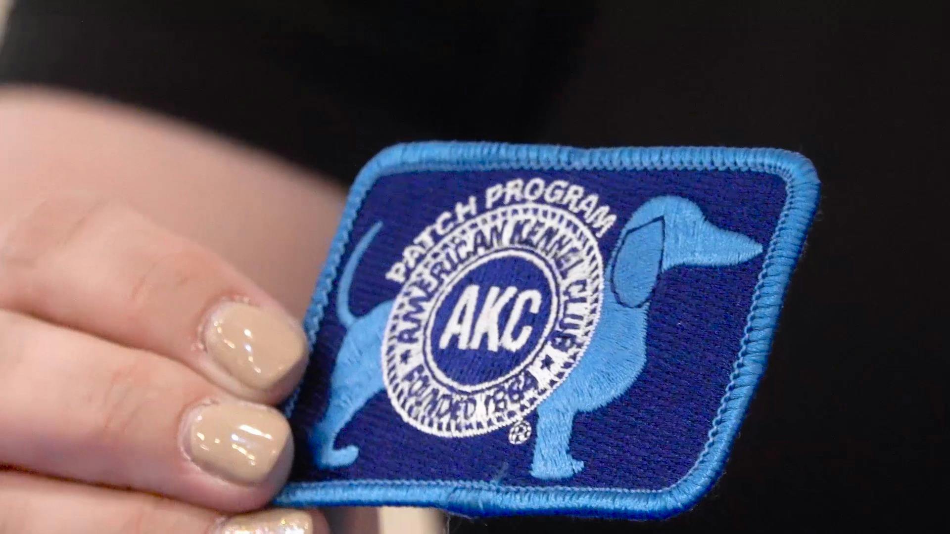 Patch Program | AKC.tv