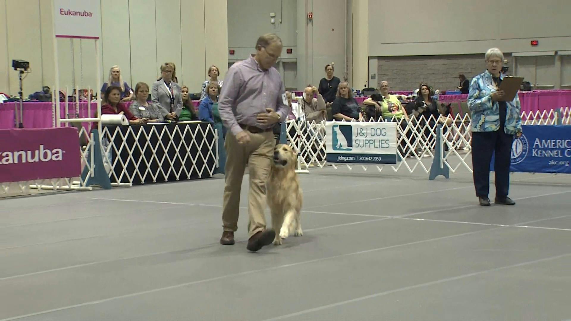 Obedience: Masters Open: Run-Off / Awards | AKC.tv