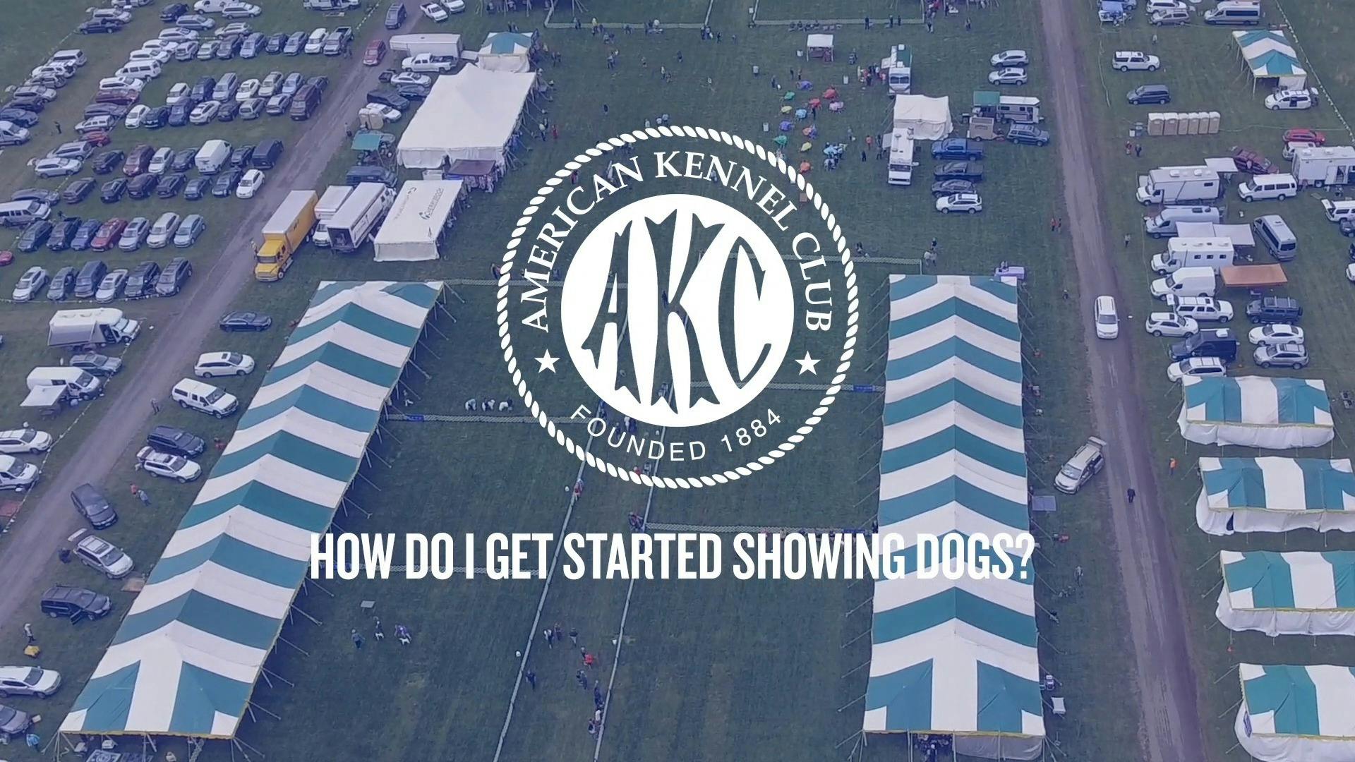 How To Get Started Showing Dogs | AKC.tv