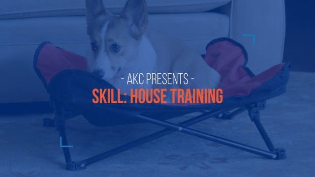 Skill 1 - House Training | AKC.tv