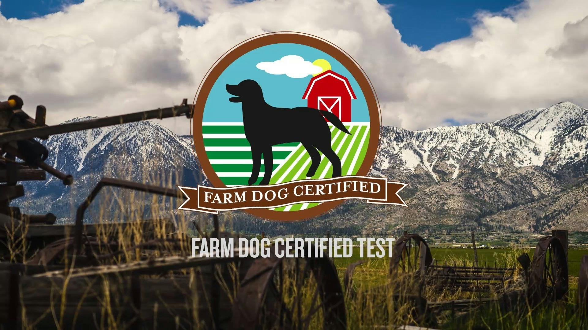 Farm Dog Certification Test | AKC.tv