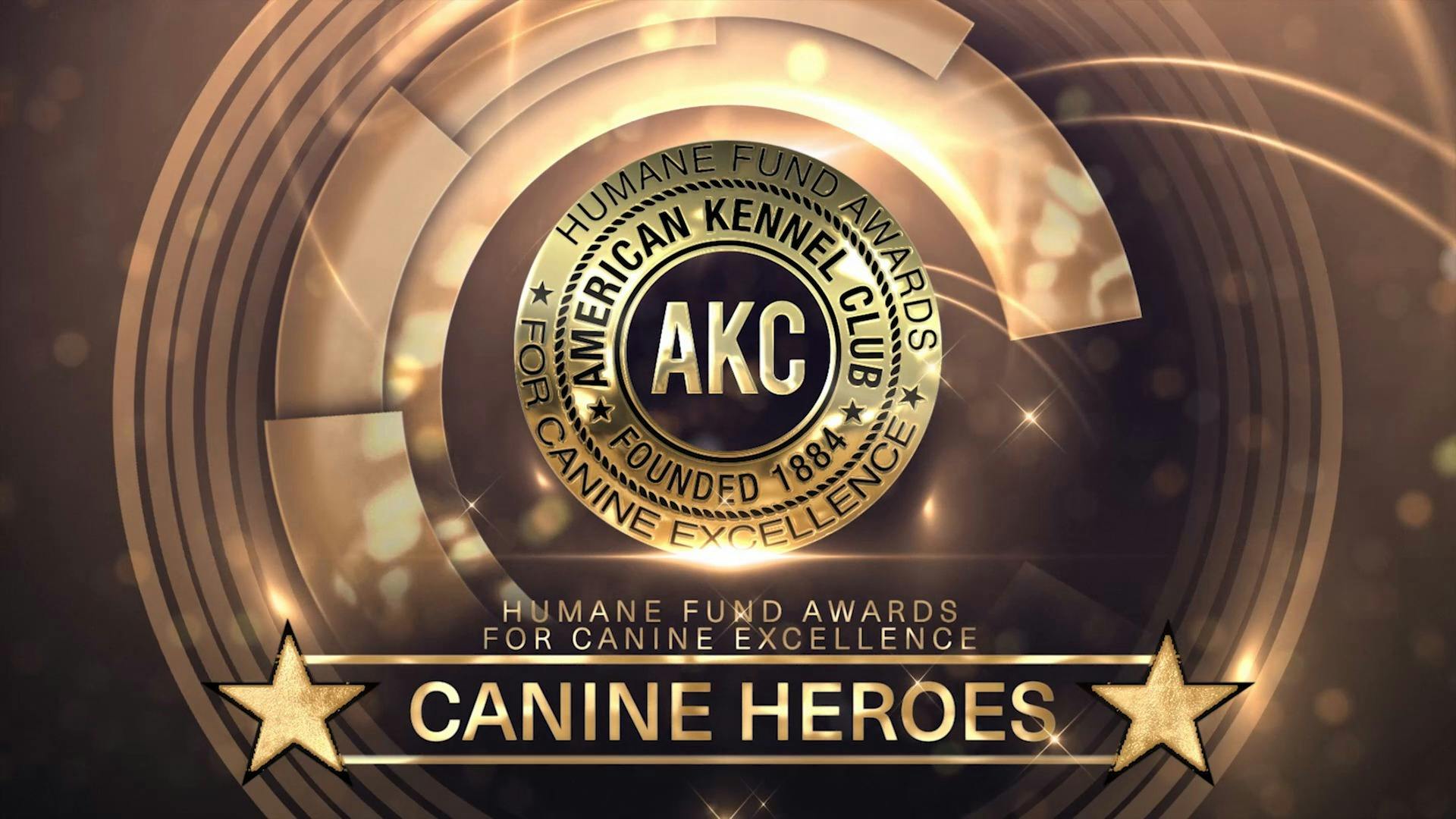The 2017 ACE Awards | AKC.tv