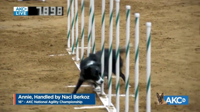 Sports | AKC.tv